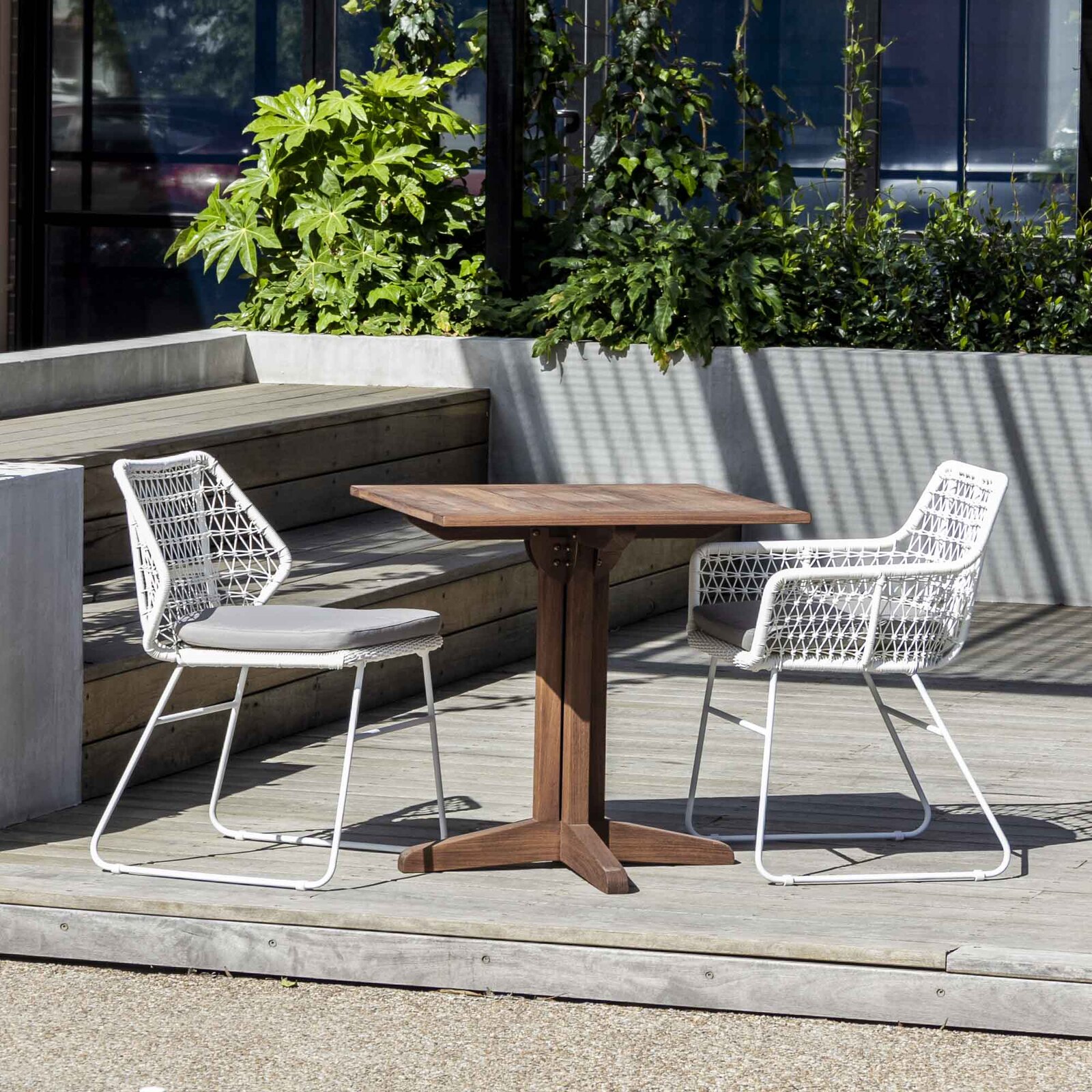 Imari Dining Chair Satara